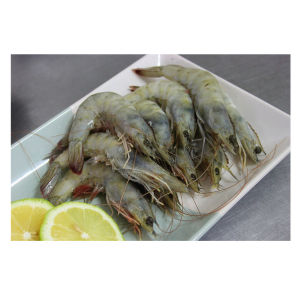 Head On Prawns 26-30 700g – Shami Seafood