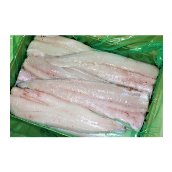 Hake Fillets 1kg – Shami Seafood