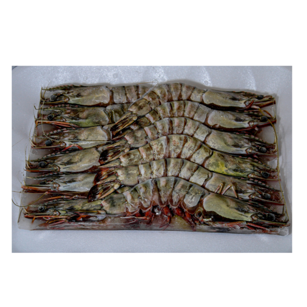 Head On 16-20 Prawns 800g – Shami Seafood